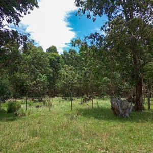 Nilo Rural - Detalhes Imóvel