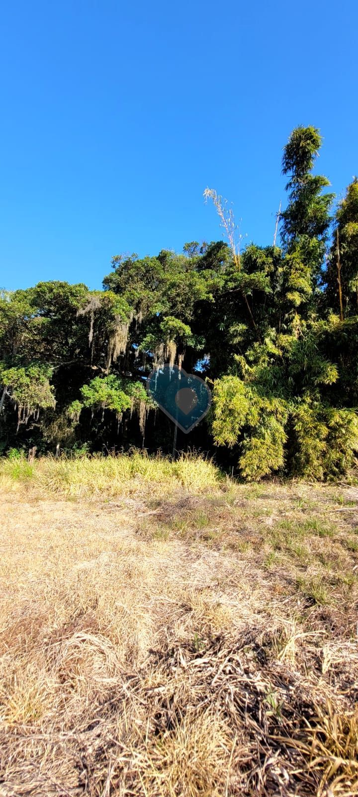 Terreno - João Alves - Santa Cruz do Sul/RS | Voilar - Aluguel sem fiador